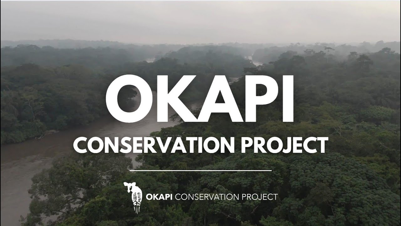 Okapi Conservation Project