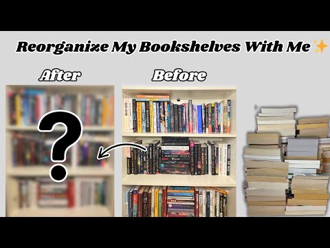 2025 Bookshelf Reorganization