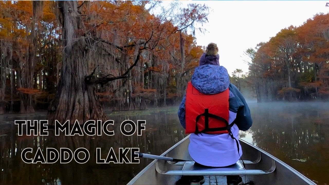 Caddo Lake is Absolutely Magical in the Fall! | Best Lake in Texas