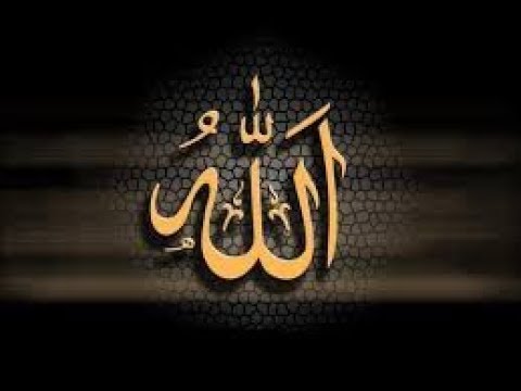 what is human being and what does it thing. in Urdu
