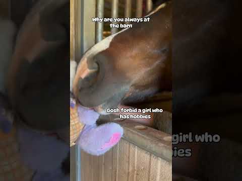 What can I say? #equestrian #iykyk #funny