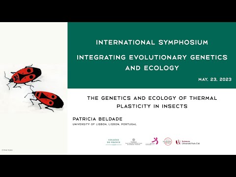 [Conférence] Patricia Beldade -  The genetics and ecology of thermal plasticity in insects