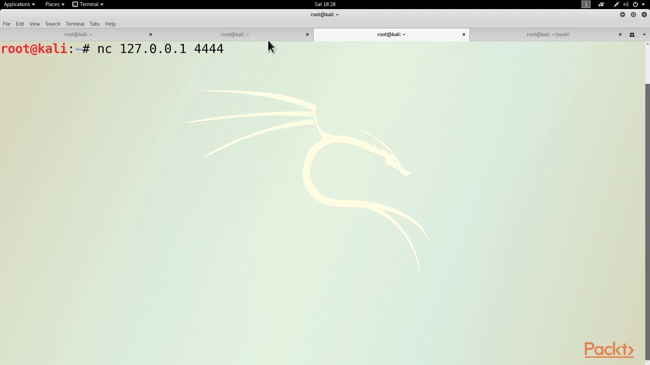 Basic and Low-level Python Network Attacks : The Course Overview | packtpub.com