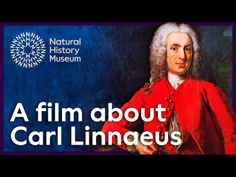 Science 9: Classifying Biological Diversity – Carolus Linnaeus | Ms.A's ...