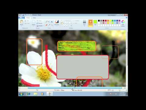 Windows 7: Microsoft Paint