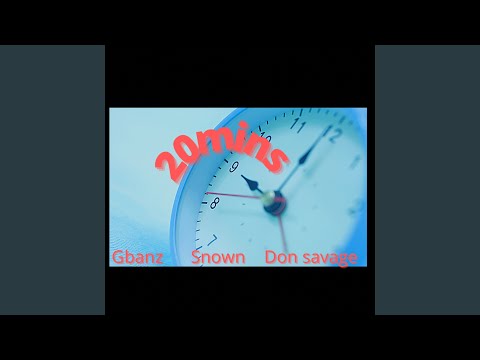 20 Mins