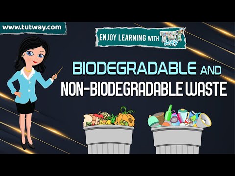 Biodegradable and Non-Biodegradable waste Video Lecture - EVS Class 3 ...