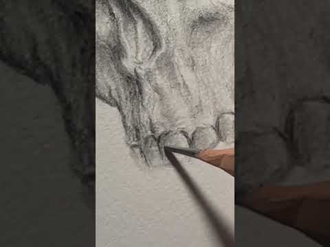 【鉛筆画】頭蓋骨 #shorts #鉛筆画 #アート #pencildrawing #art #drawing