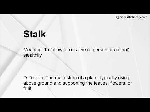 Stalk Meaning