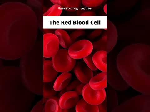 The Red Blood Cell