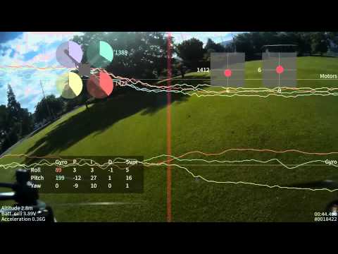 Don't tease the seagulls - Armattan 226 quadcopter - Blackbox flight log