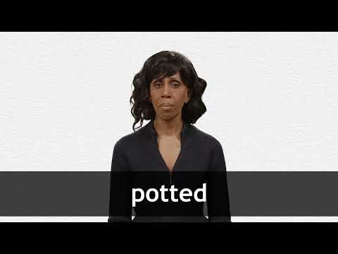 POTTED definition and meaning | Collins English Dictionary