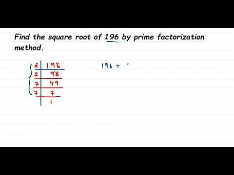 Find the square root of 196 by prime factorization method. Square and square root class 8 maths