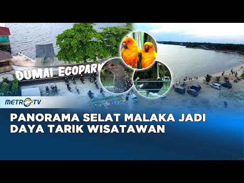 Liburan Asyik! Nikmati Laut dan Satwa di Dumai Ecopark