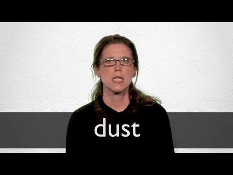 DUST definition in American English | Collins English Dictionary