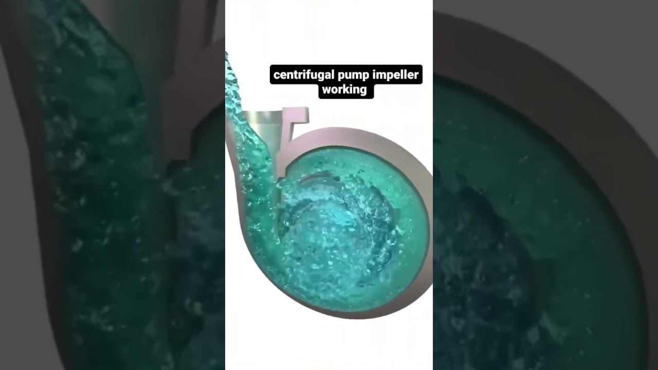 Centrifugal pump working || water pump || how does centrifugal pump work || pump impeller...