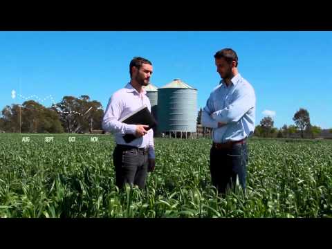 Sunk Costs - CropPro economic considerations