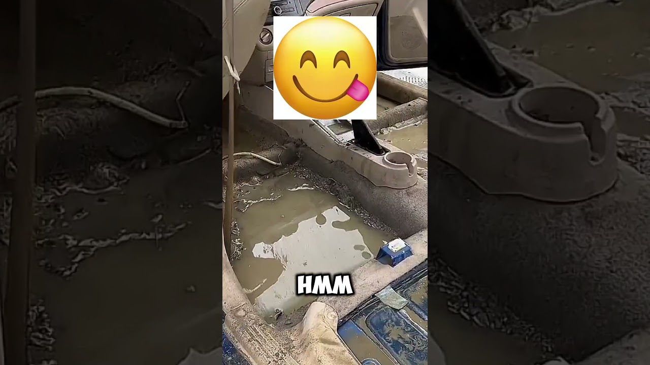 Cleaning Car #memes #shorts