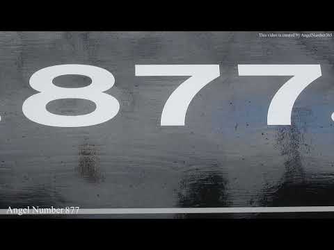 What Does Angel Number 877 Mean? Discovering 877 Hidden Messages