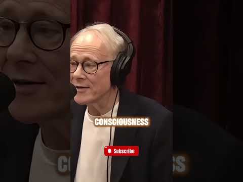 What Is Consciousness? Explained.