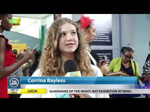 News Bite: Guardians of the Night: Bat Exhibition at NHMJ in Kingston