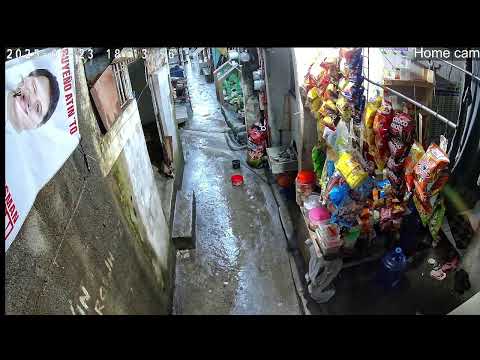 Lola's Home - Home Cam- My Everyday life