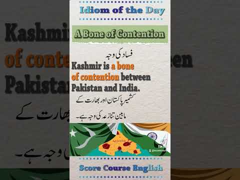 English Idiom #6 A Bone of Contention