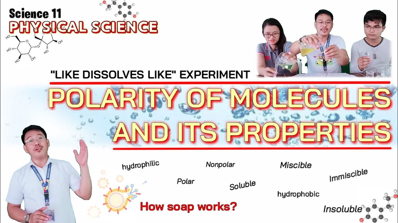 Understanding the Polarity of Molecules and Its Impact on Properties ...