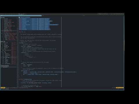 nvim-ide workflow