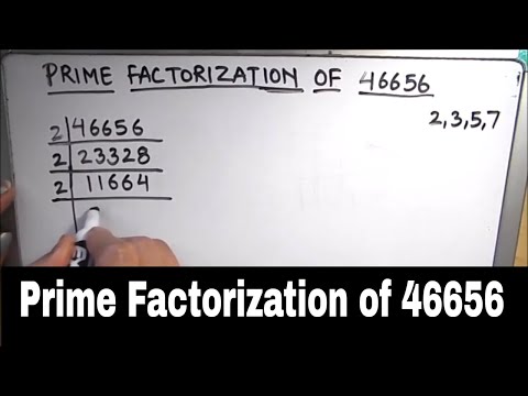 How to find the prime factorization of 46656 / What is the prime factorization of 46656