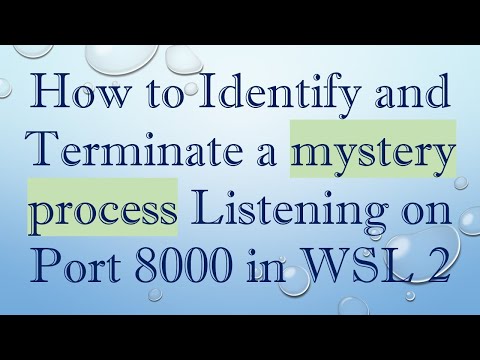 How to Identify and Terminate a mystery process Listening on Port 8000 in WSL 2