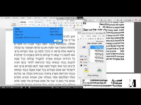 Rav Nakad - The Excellent Nikkud software (Hebrew vowelization) in English version