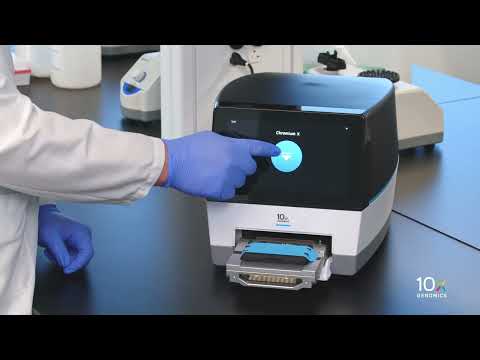 Single Cell Immune Profiling HT Protocol v2 | Run the Chromium X