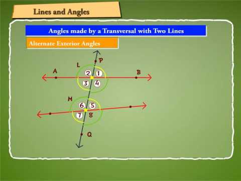 Angles made by a Transversal- 2 Video Lecture - Class 7