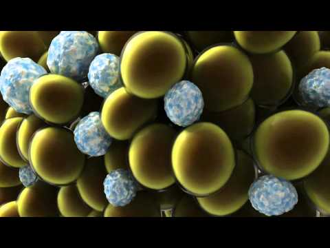 Science behind CoolSculpting