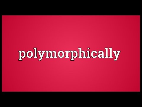 Polymorphically Meaning