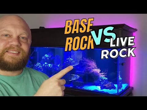 Reef Tank for Beginners: Base Rock or Live Rock