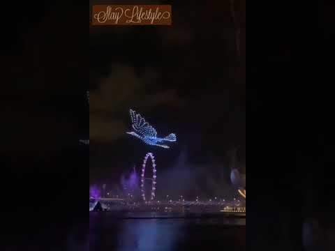 Worlds best New Years Firework show off 2021 Slay Lifestyle