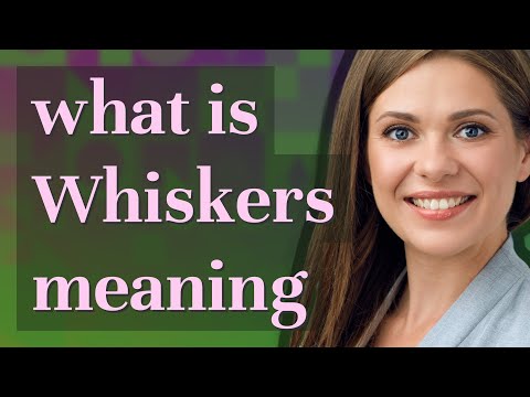 Whiskers | meaning of Whiskers