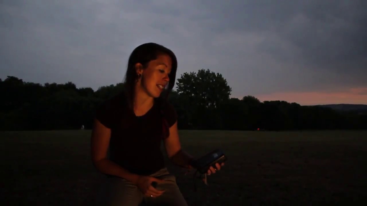 BBC Earth Presenter Application - bats and echolocation