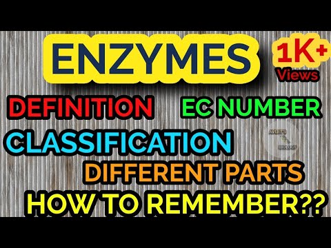 WHAT ARE ENZYMES? ●DEFINITION ●CLASSIFICATION ●TIPS ●TRICKS