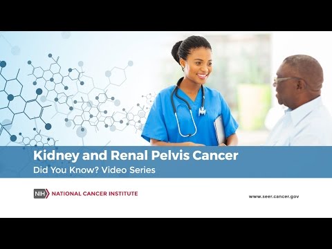 Kidney and Renal Pelvis Cancer | Did You Know?