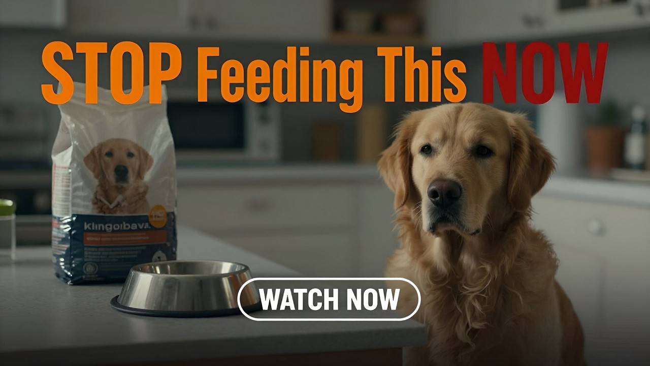 ***The 7 Worst Ingredients in Dog Food (Avoid These at All Costs)***