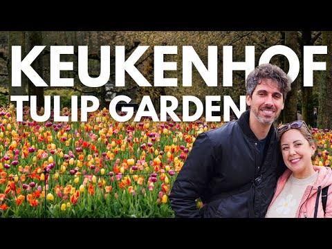 KEUKENHOF GARDEN 🌷 Best Tips for Visiting Keukenhof, Netherlands