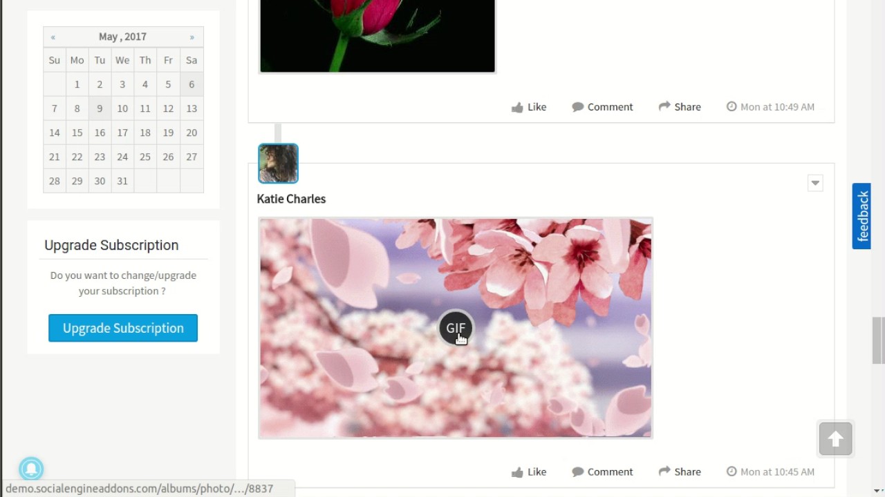 Benefits and Setup of 