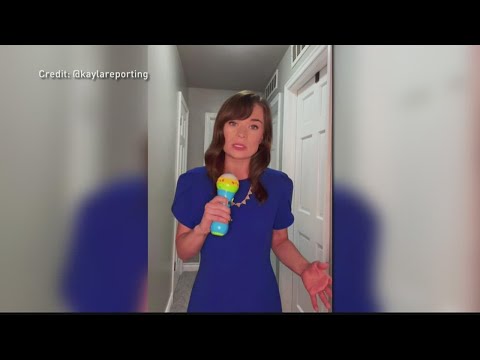 Former News Anchor Reports on Toddler's Tantrum