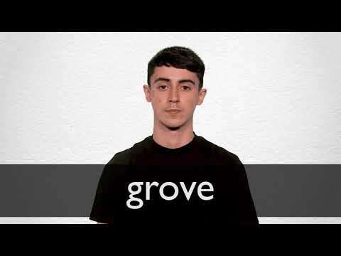 How to pronounce GROVE in British English