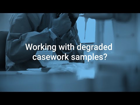 Get More Information from Degraded DNA with Mini-STRs