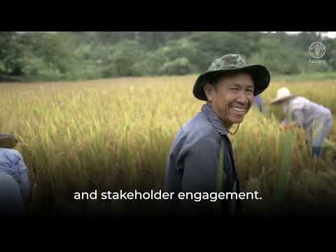 Exploring the future of agrifood systems: FAO’s foresight on emerging technologies and innovations
