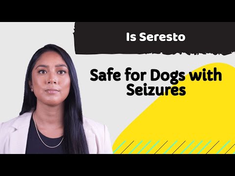 Is Seresto Safe for Dogs with Seizures? - Dr. Amilia Johnson Explains